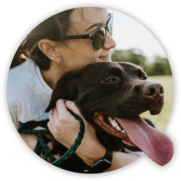 Paseador y cuidador de perros y gatos en Panamá | Bongo Mascots